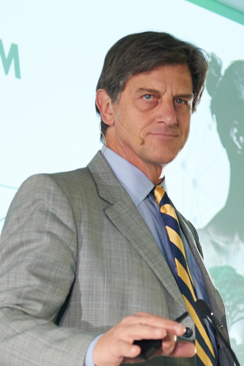 Homepage - Stephen Archer